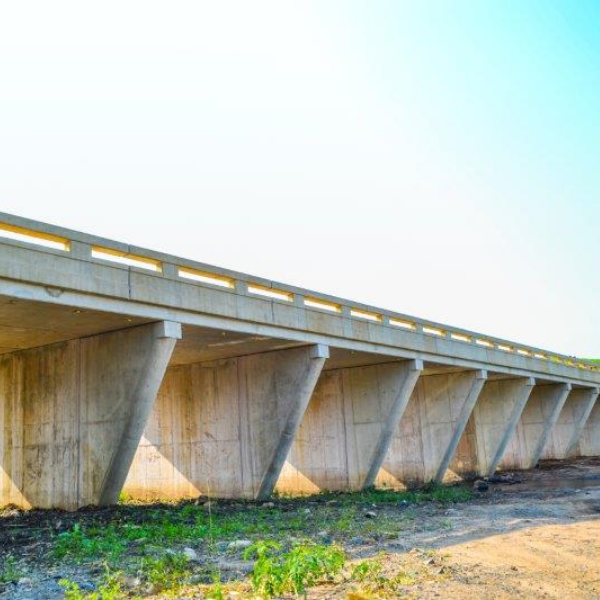 Bridges | Naidu Consulting